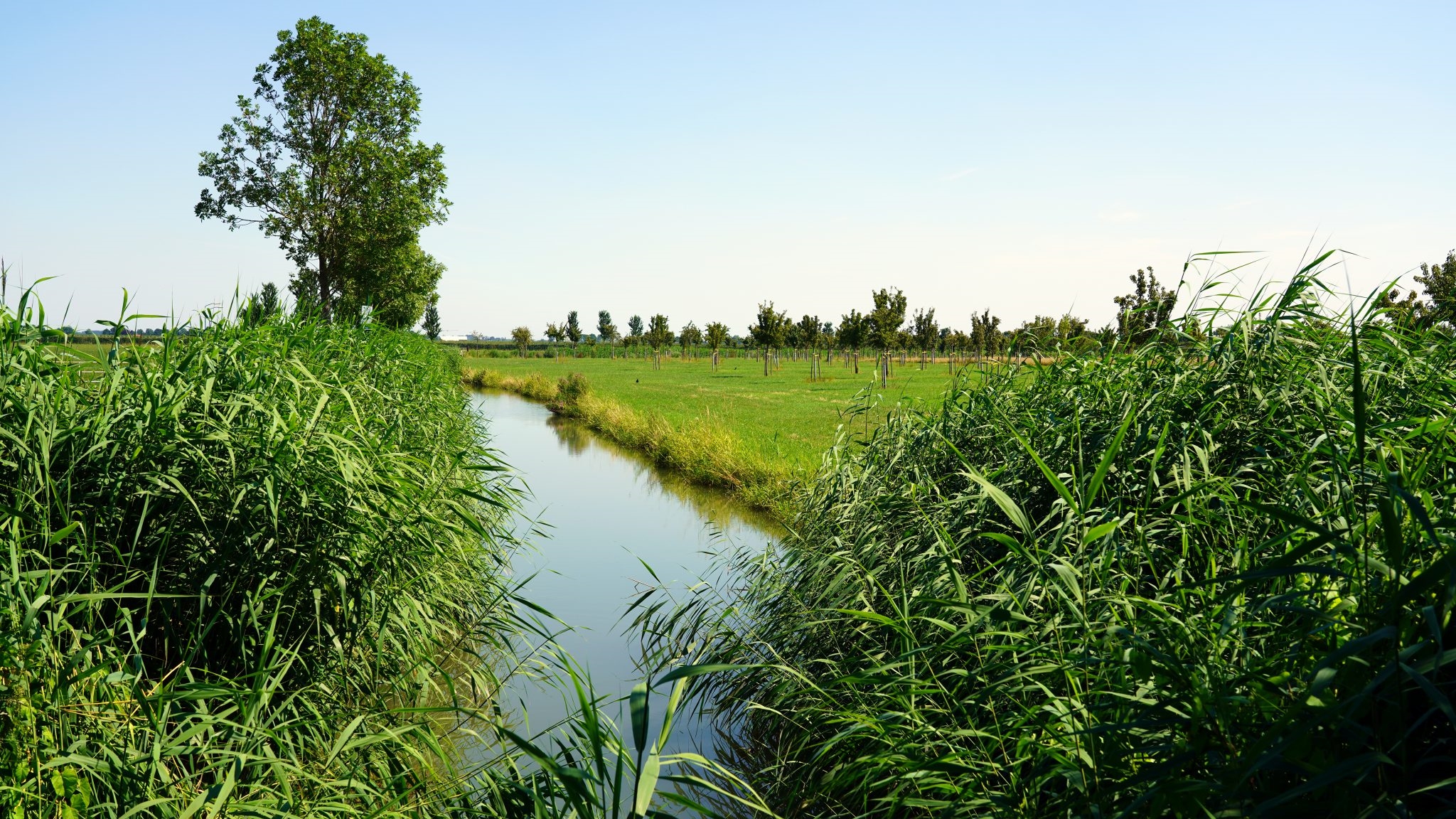 Safe and liveable delta - Geological Survey of the Netherlands