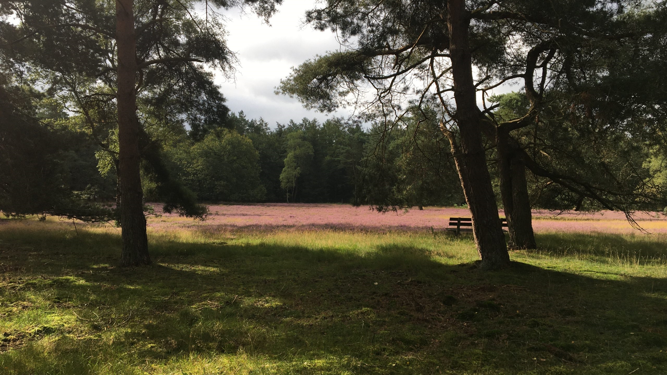 Towards the sustainable use of the subsurface - Geological Survey of ...